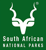 Homepage - The Real South Africa